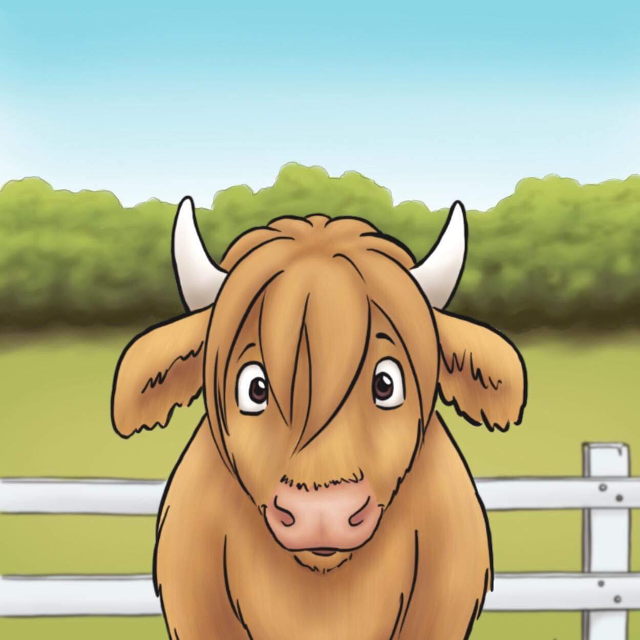 Collections – Glenstrae